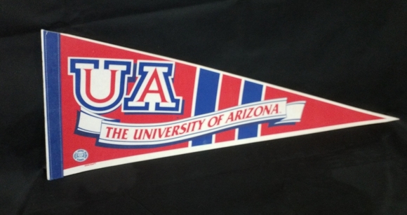 Wincraft | Wall Decor | 32 Vintage College Pennant University Of ...